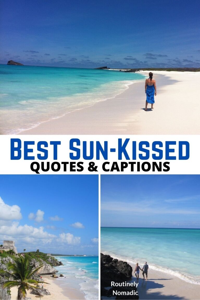 95 Sun-Kissed Quotes for That Sunny Day Vibe - Routinely Shares