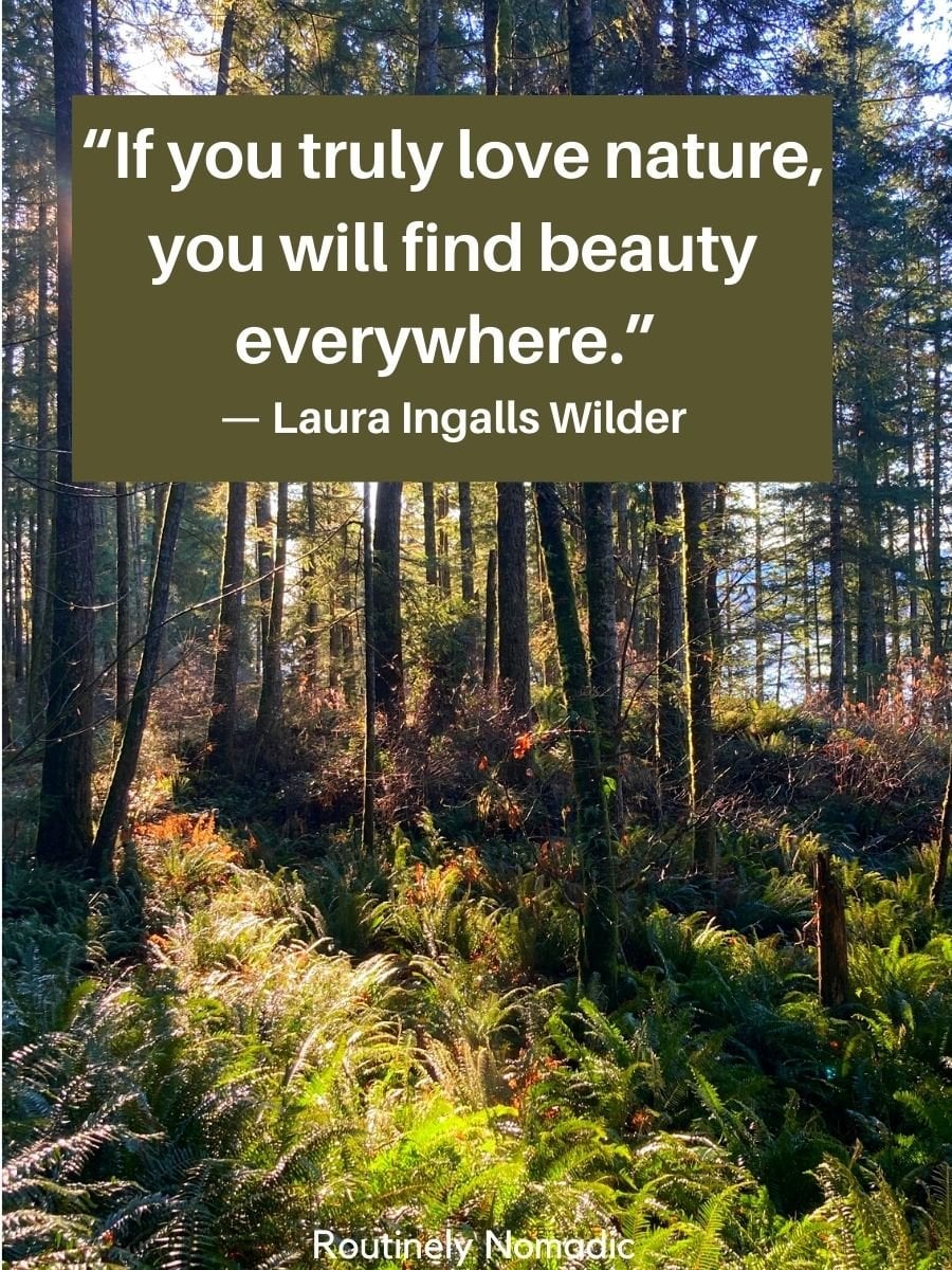100 Short Aesthetic Green Quotes for all of Life's Green Moments ...