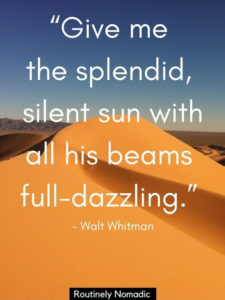 95 Sun-Kissed Quotes for That Sunny Day Vibe - Routinely Shares