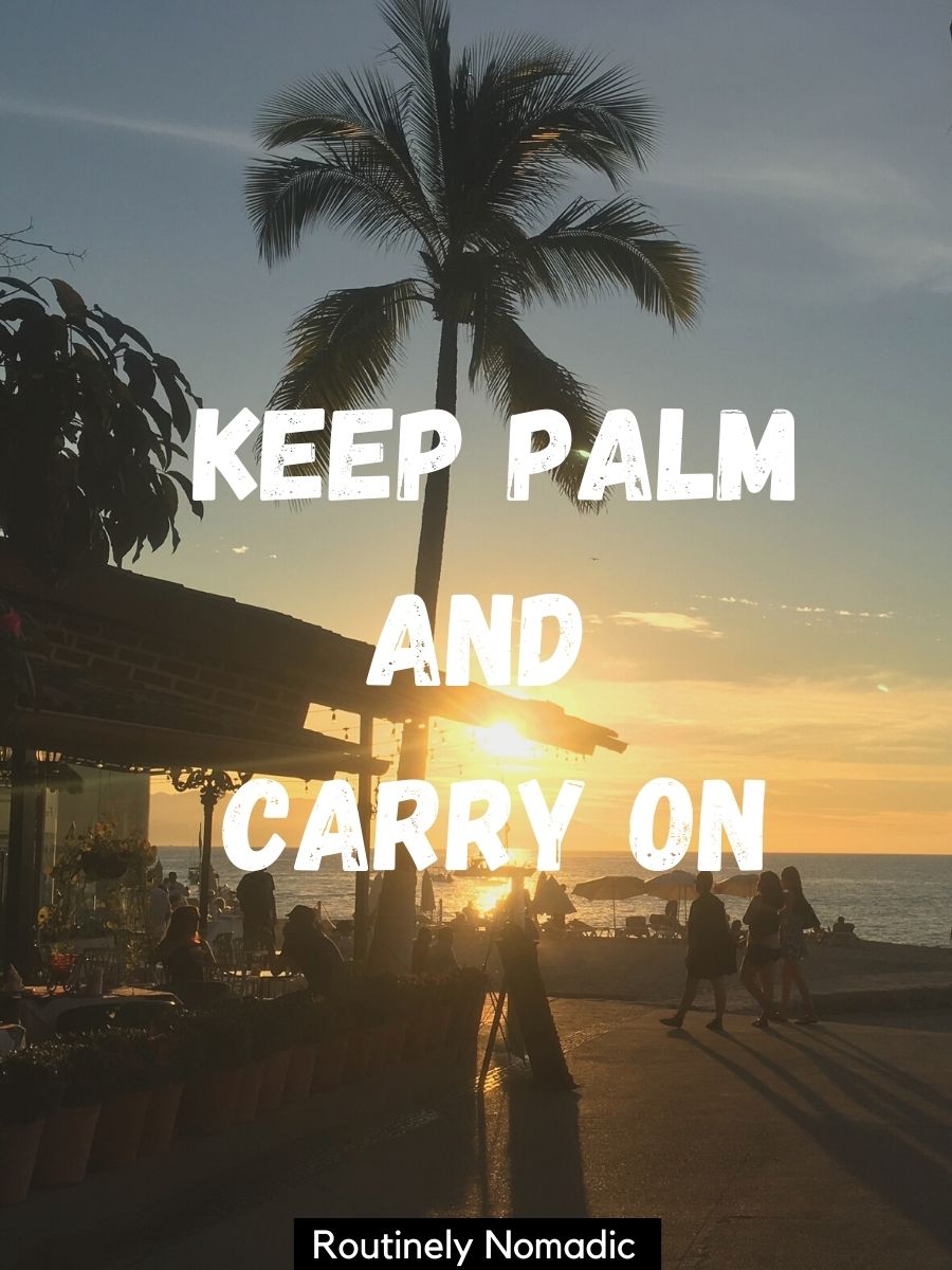 100 Short Palm Tree Quotes for Instagram for that Sunny Beach Day ...