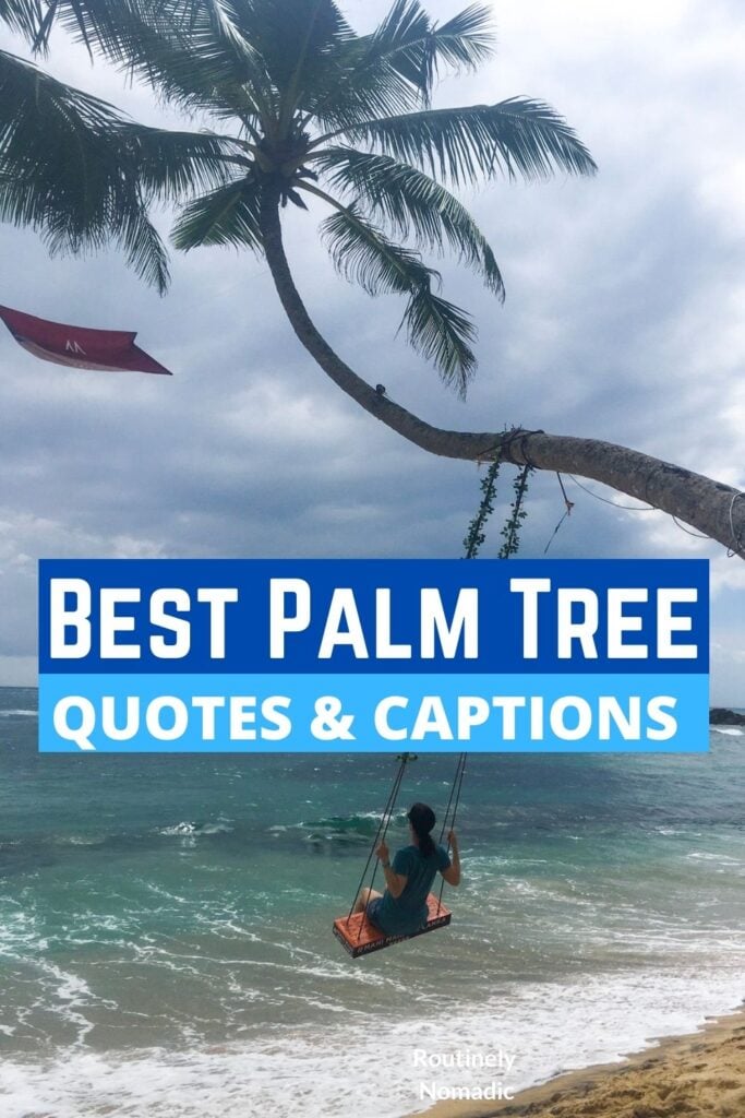 100 Short Palm Tree Quotes for Instagram for that Sunny Beach Day ...