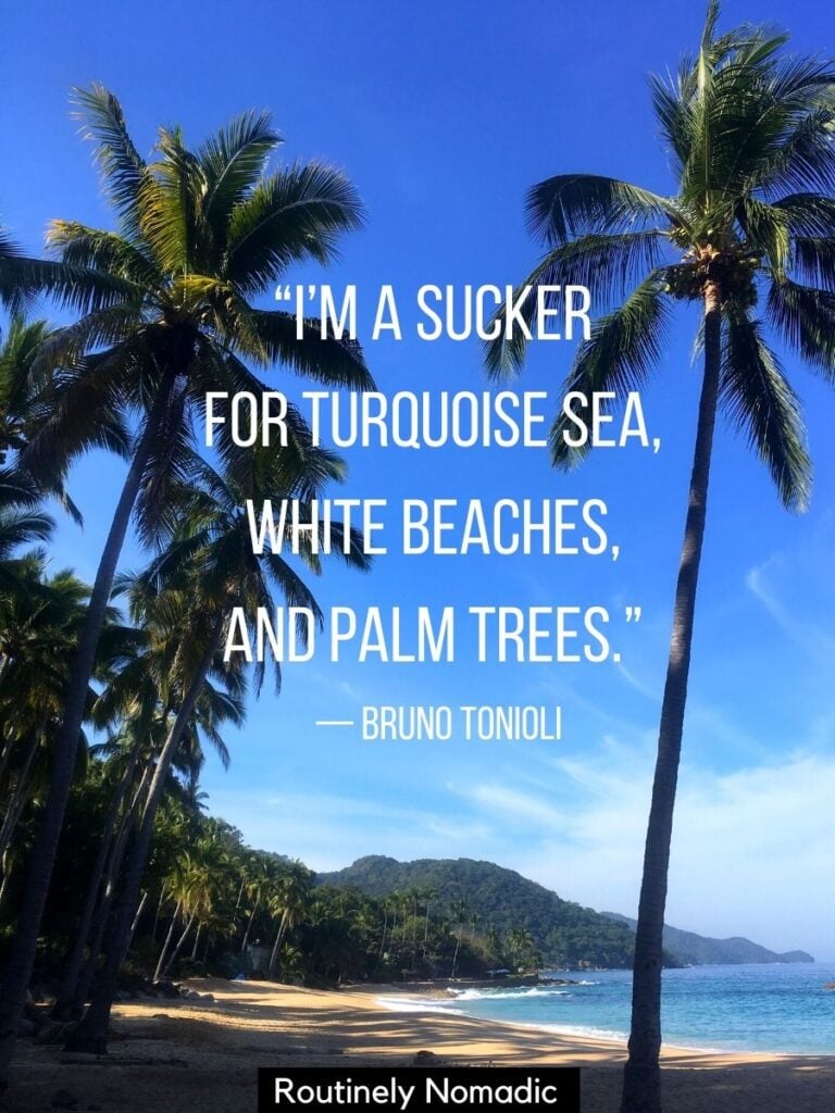 100 Short Palm Tree Quotes for Instagram for that Sunny Beach Day ...