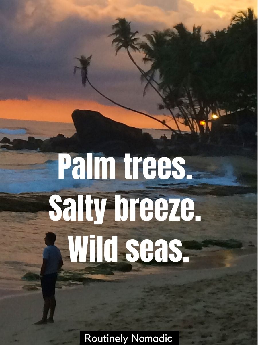 100 Short Palm Tree Quotes for Instagram for that Sunny Beach Day ...