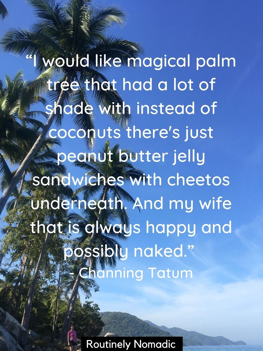 100 Short Palm Tree Quotes for Instagram for that Sunny Beach Day ...