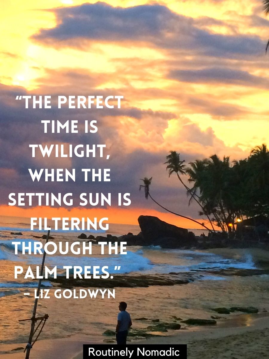 100 Short Palm Tree Quotes for Instagram for that Sunny Beach Day ...