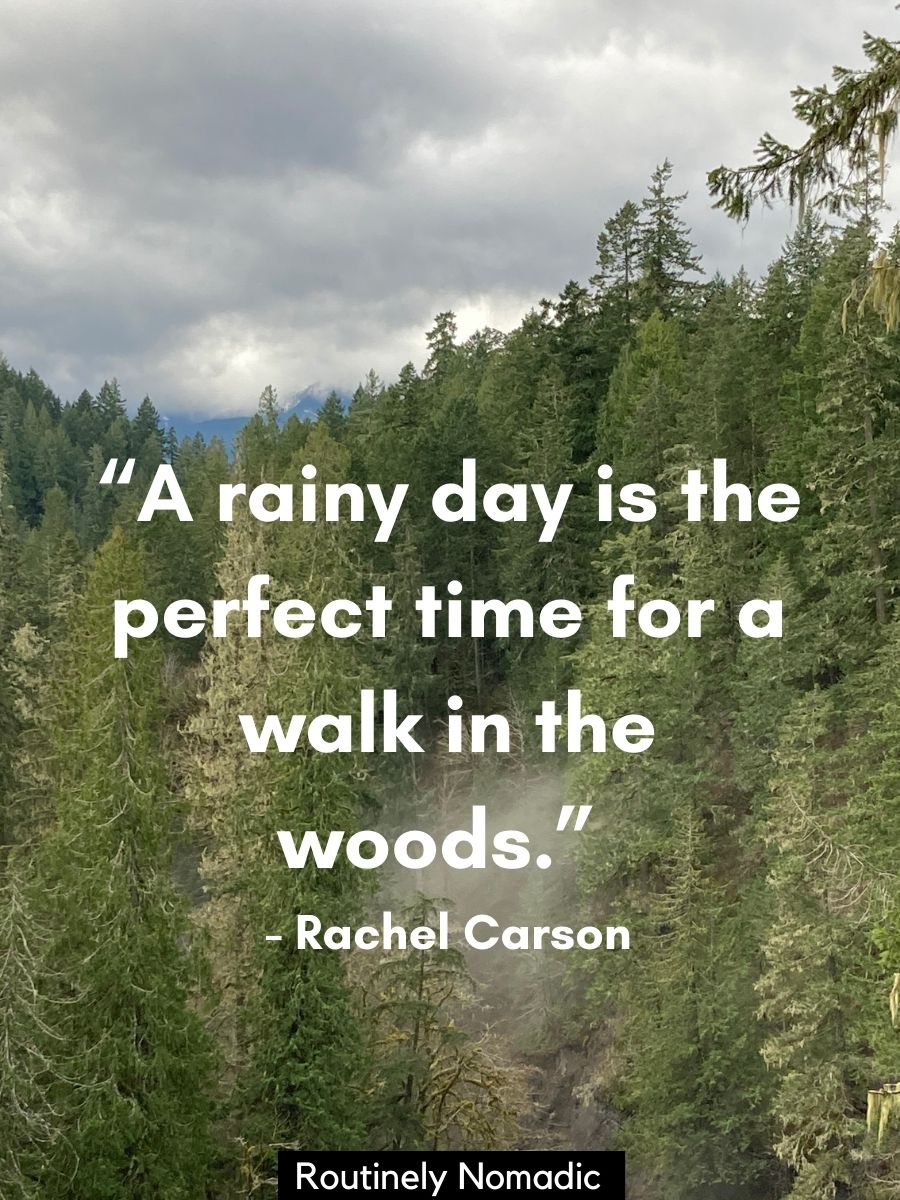 100 Walking Quotes for that Inspiration to Keep Moving - Routinely Shares