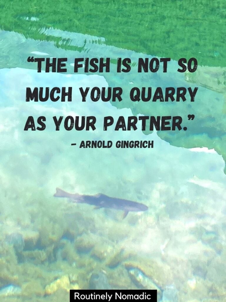 Fishing Quotes: 150 Fish-tastic Sayings - Routinely Shares
