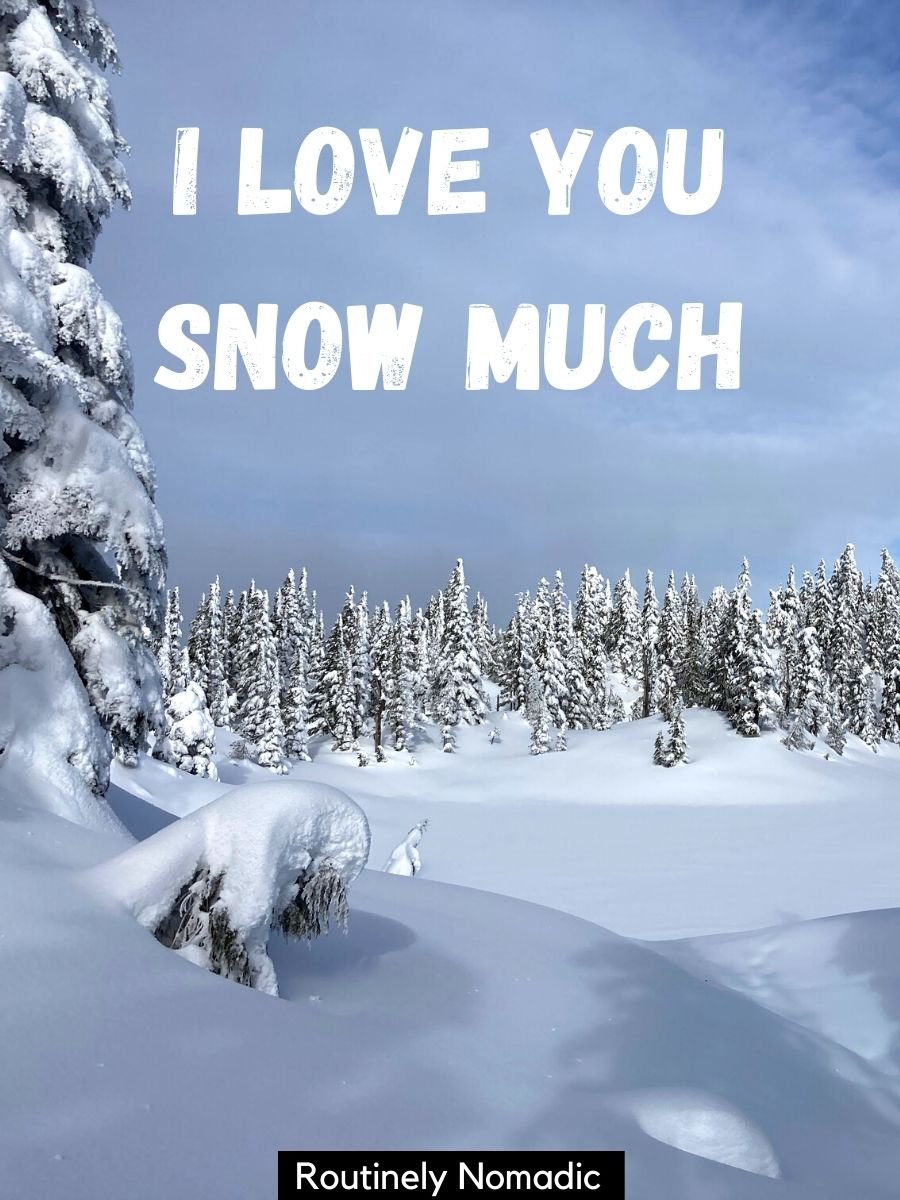 270 Funny Snow Puns, Jokes and One Liners for Winter Humor - Routinely Shares