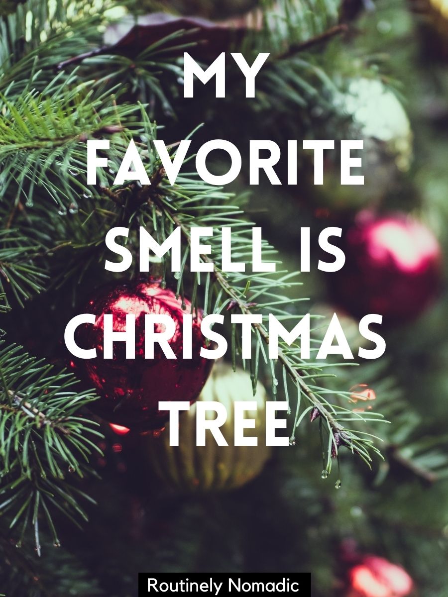 100 Christmas Tree Quotes for that Festive Aesthetic - Routinely Shares