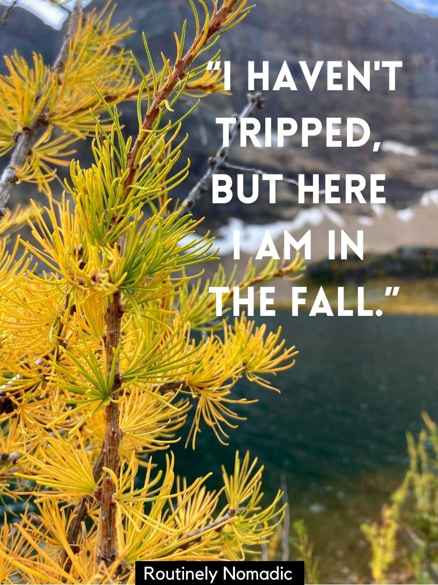 Cute Short Fall Quotes: 75 Amazing Autumn Sayings - Routinely Shares