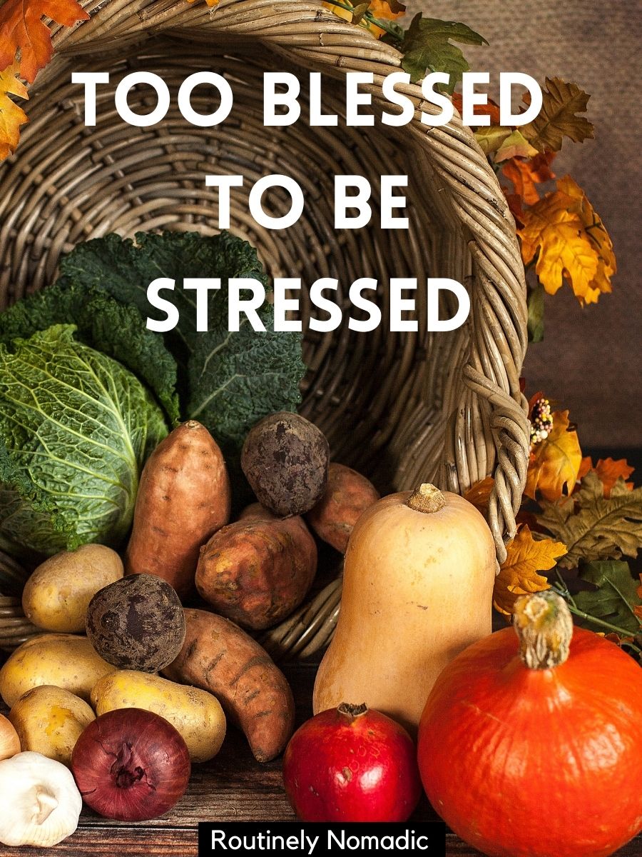 The 250 Most Thankful Captions for Those Feeling Grateful and Blessed ...