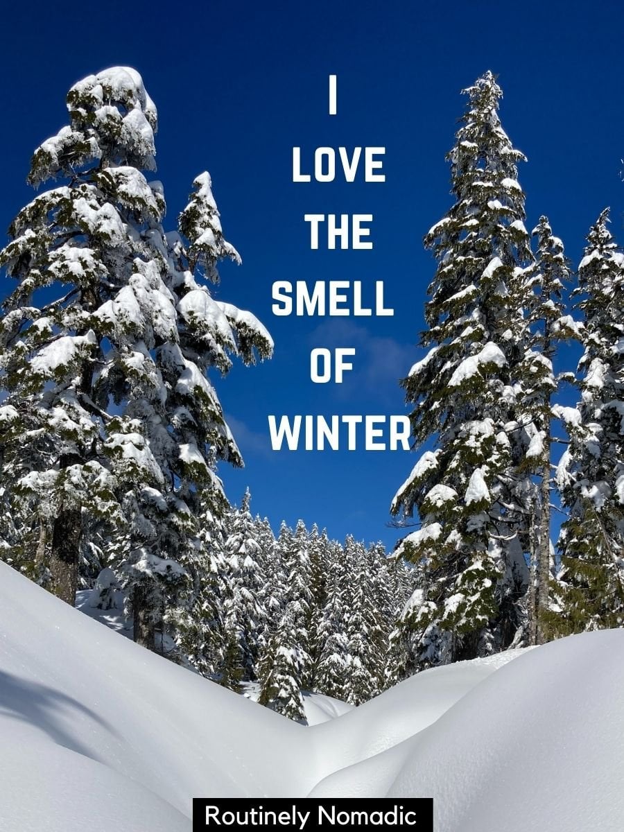 250 Funny Winter Puns and Jokes that You Will Love Snow Much ...