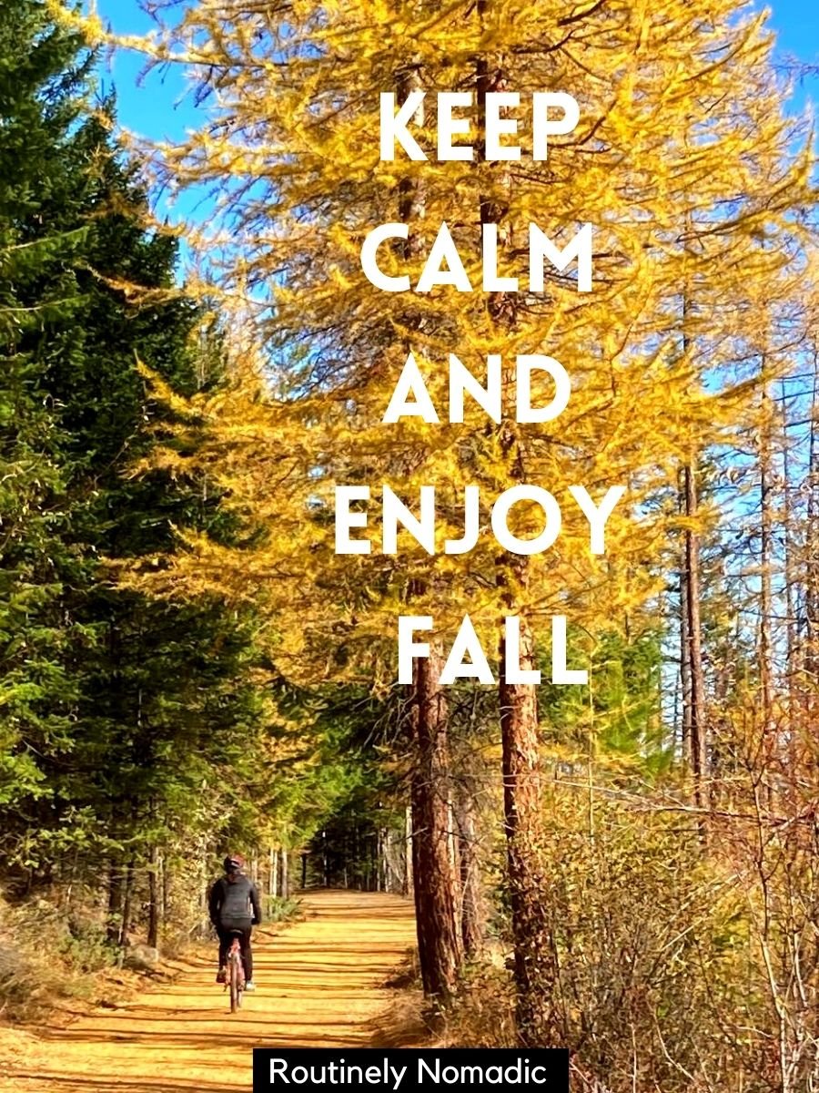 100 Cute Happy Fall Sayings for that Autumn is Here Vibe - Routinely Shares