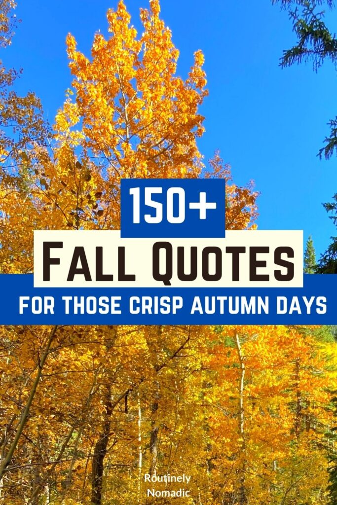 100 Fall Quotes for that Inspirational Crisp Autumn Aesthetic ...
