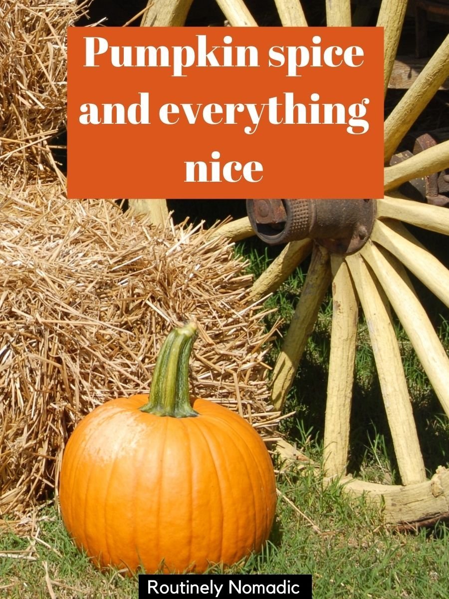 100 Perfect Fall Selfie Captions - Routinely Shares