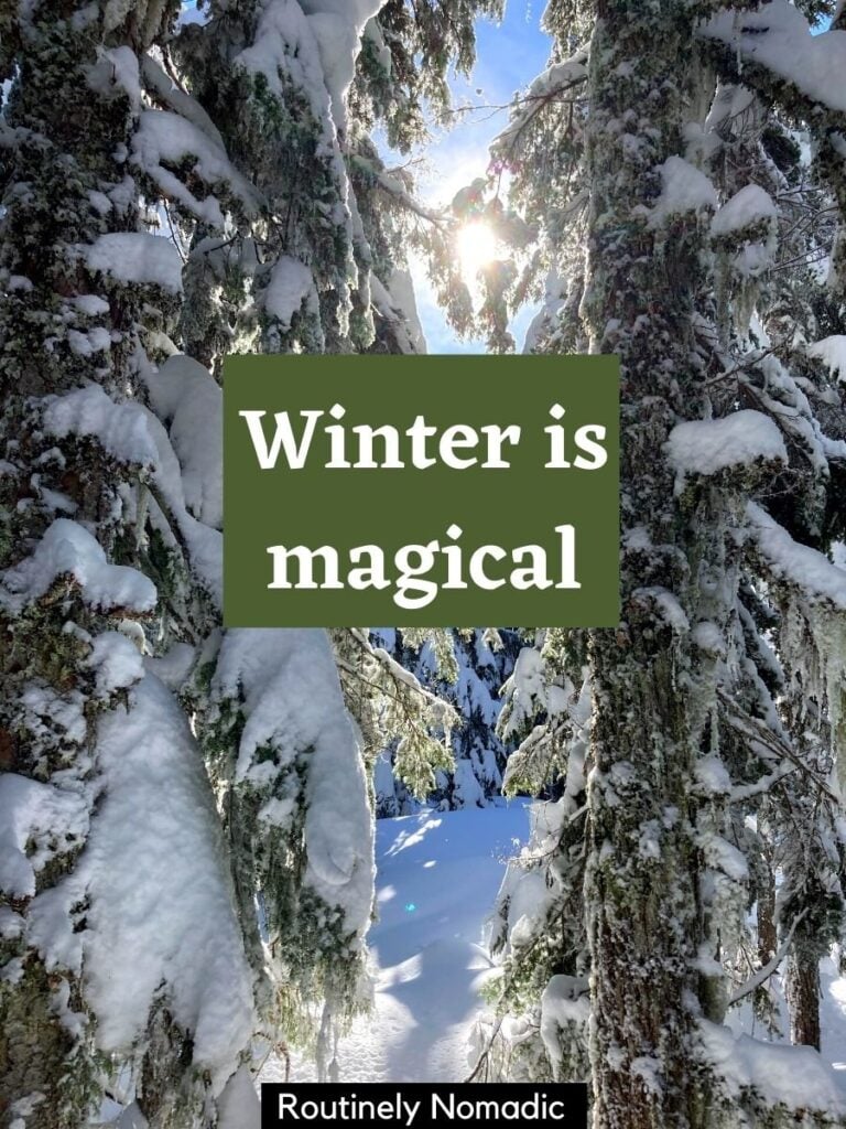 100 Best Winter Captions for that Cold Weather Aesthetic - Routinely Shares
