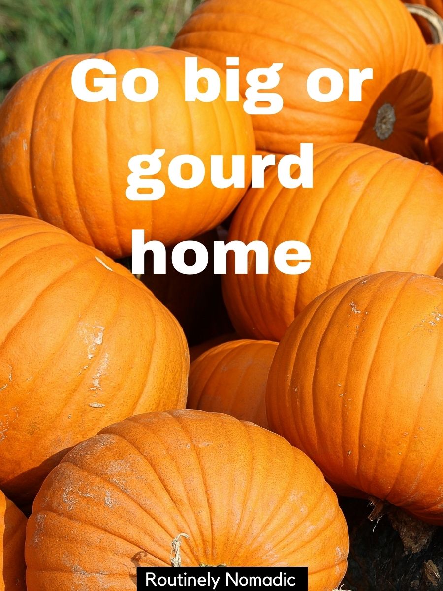 100 Best Hello October Captions for Instagram - Routinely Shares