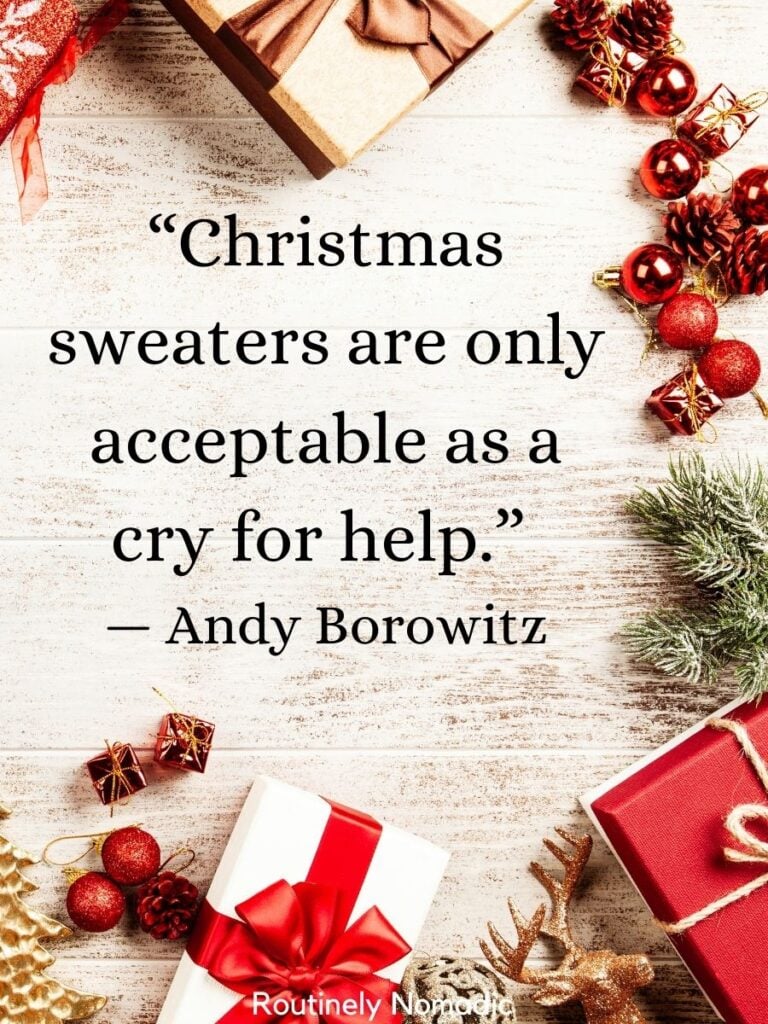145 Funny Christmas Quotes and Sayings for Those Hilarious Festive ...