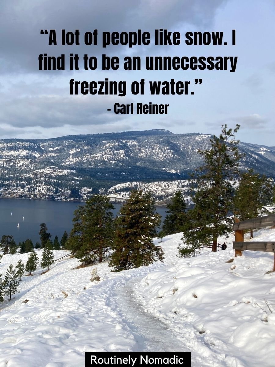 85 Funny Winter Quotes and Sayings for Those Freezing but Hilarious ...