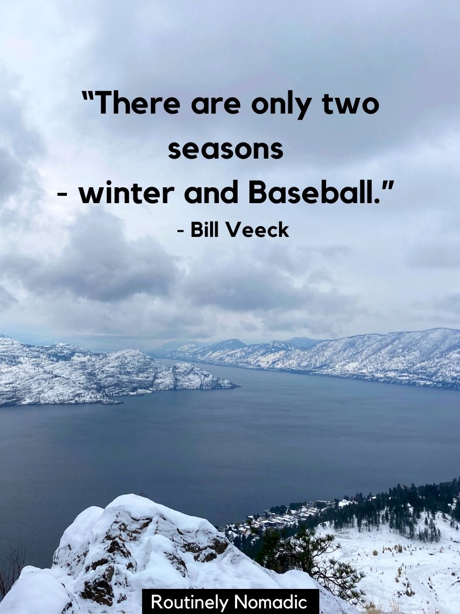 85 Funny Winter Quotes and Sayings for Those Freezing but Hilarious ...