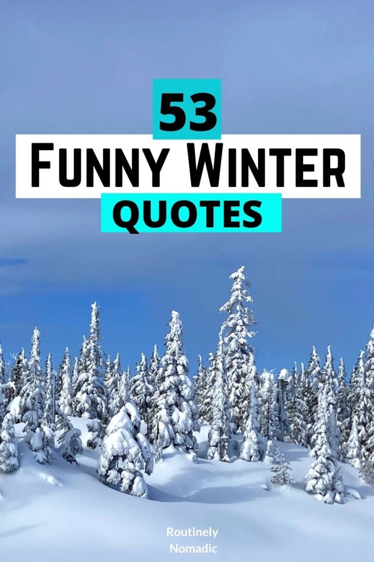 85 Funny Winter Quotes and Sayings for Those Freezing but Hilarious ...