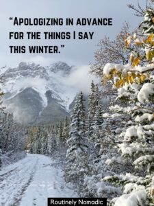 85 Funny Winter Quotes and Sayings for Those Freezing but Hilarious ...
