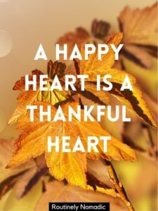 The 250 Most Thankful Captions for Those Feeling Grateful and Blessed ...