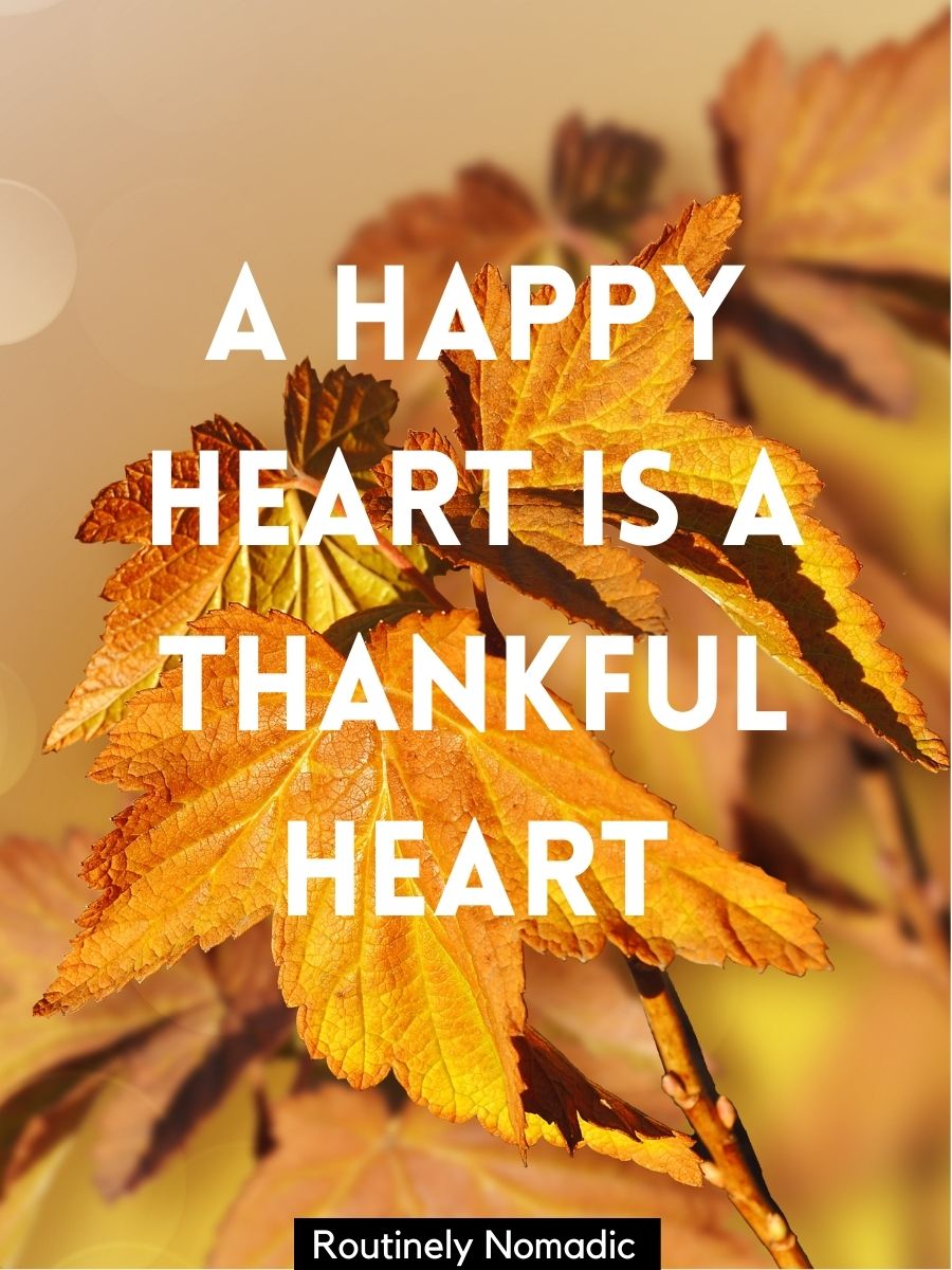 The 250 Most Thankful Captions for Those Feeling Grateful and Blessed ...