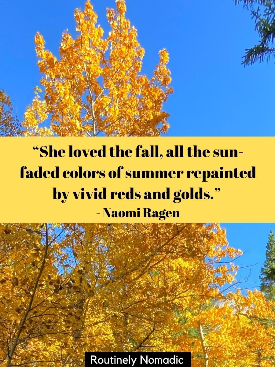 100 Fall Quotes for that Inspirational Crisp Autumn Aesthetic ...