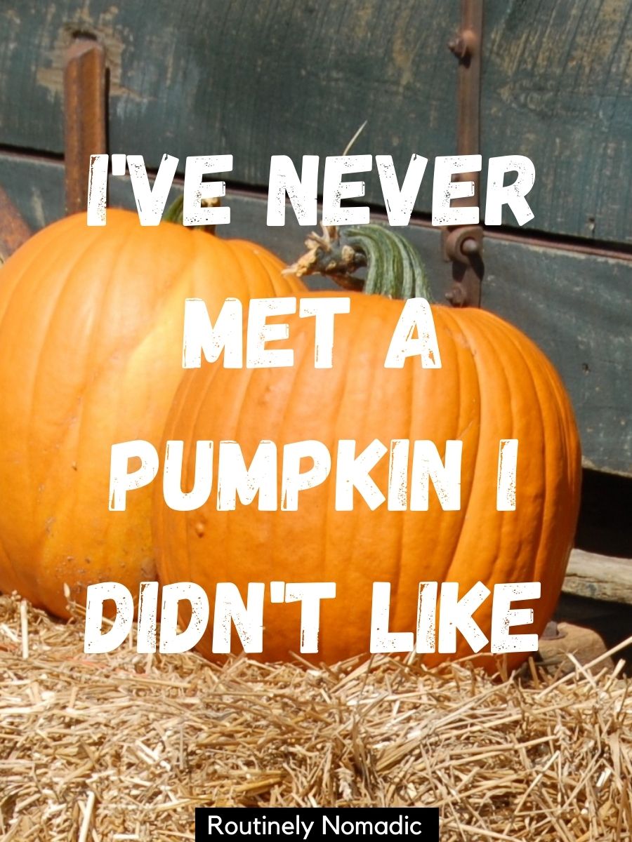 100 Cute Happy Fall Sayings for that Autumn is Here Vibe - Routinely Shares