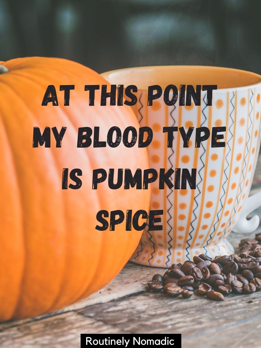 Enjoy a Fall Chuckle With the 225 Best Cute and Funny Pumpkin Puns ...