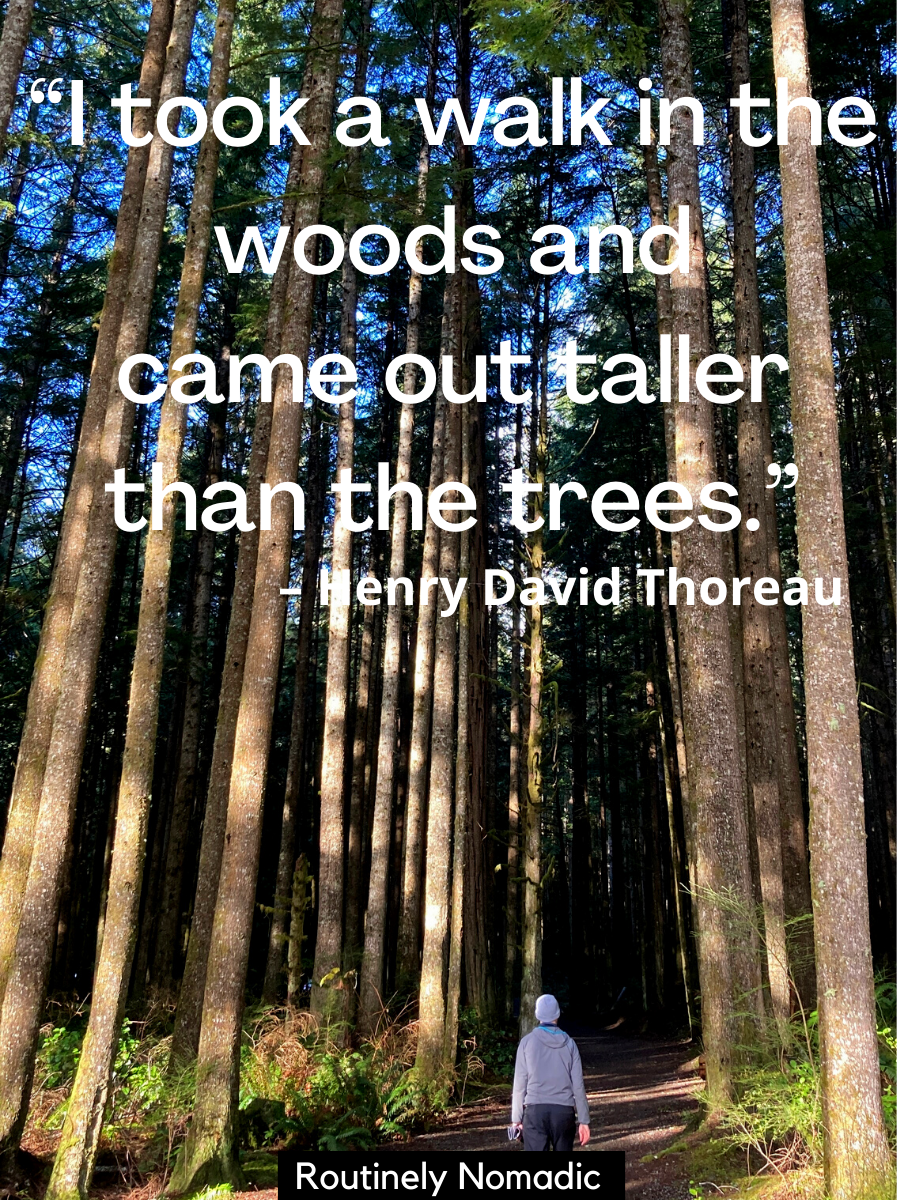 100 Walking Quotes for that Inspiration to Keep Moving - Routinely Shares