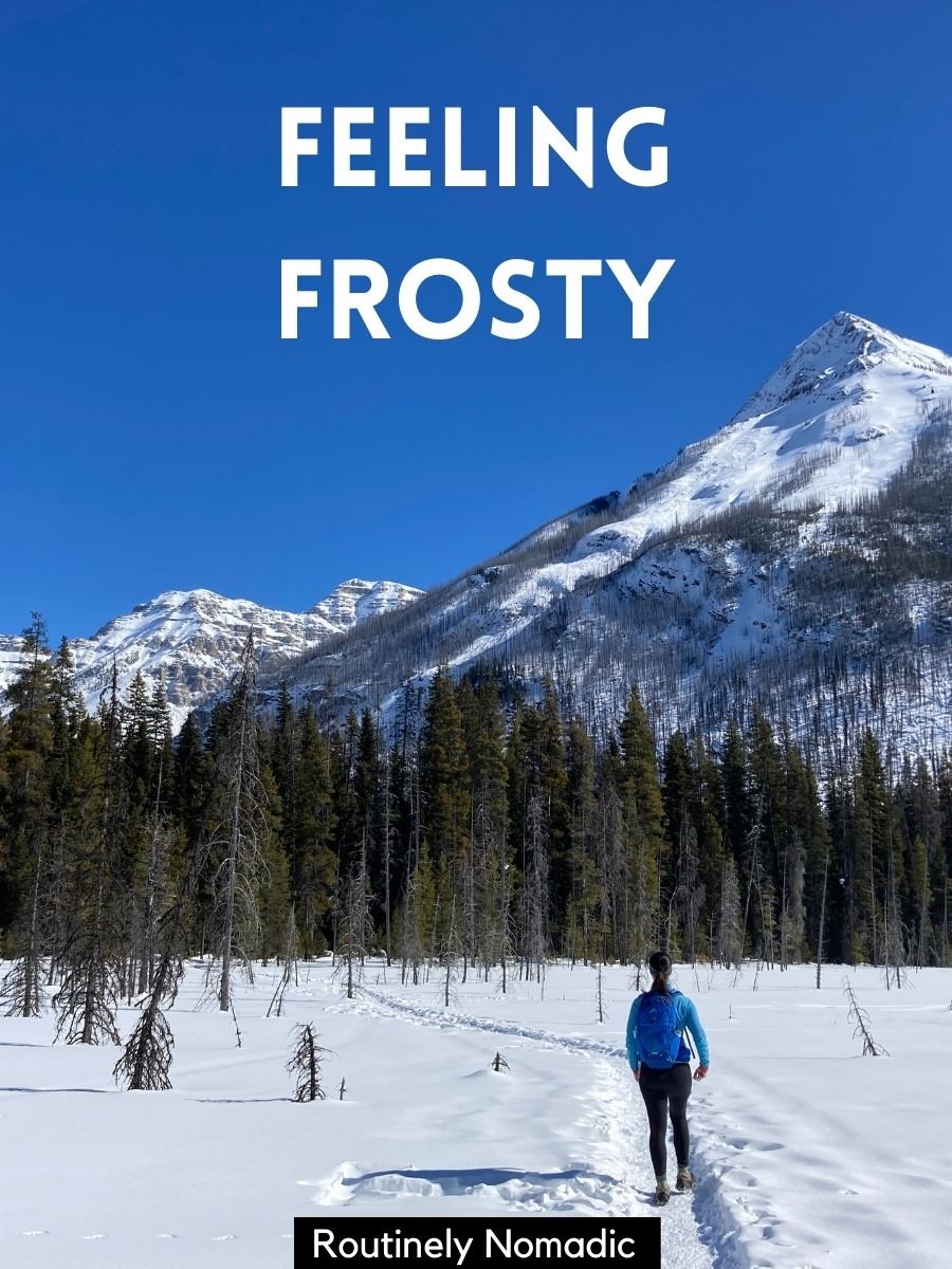 The 175 Best January Letter Board Quotes and Sayings - Routinely Shares