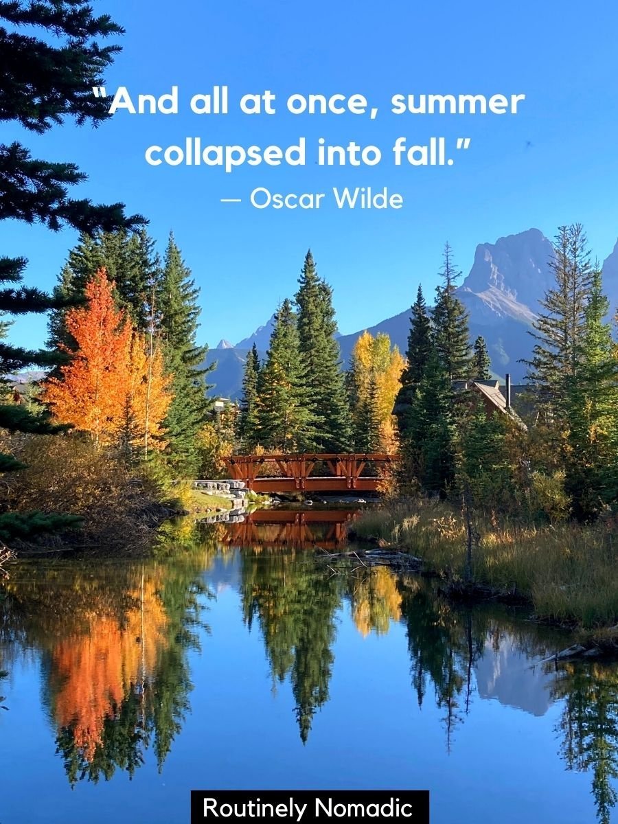 100 Fall Quotes for that Inspirational Crisp Autumn Aesthetic ...