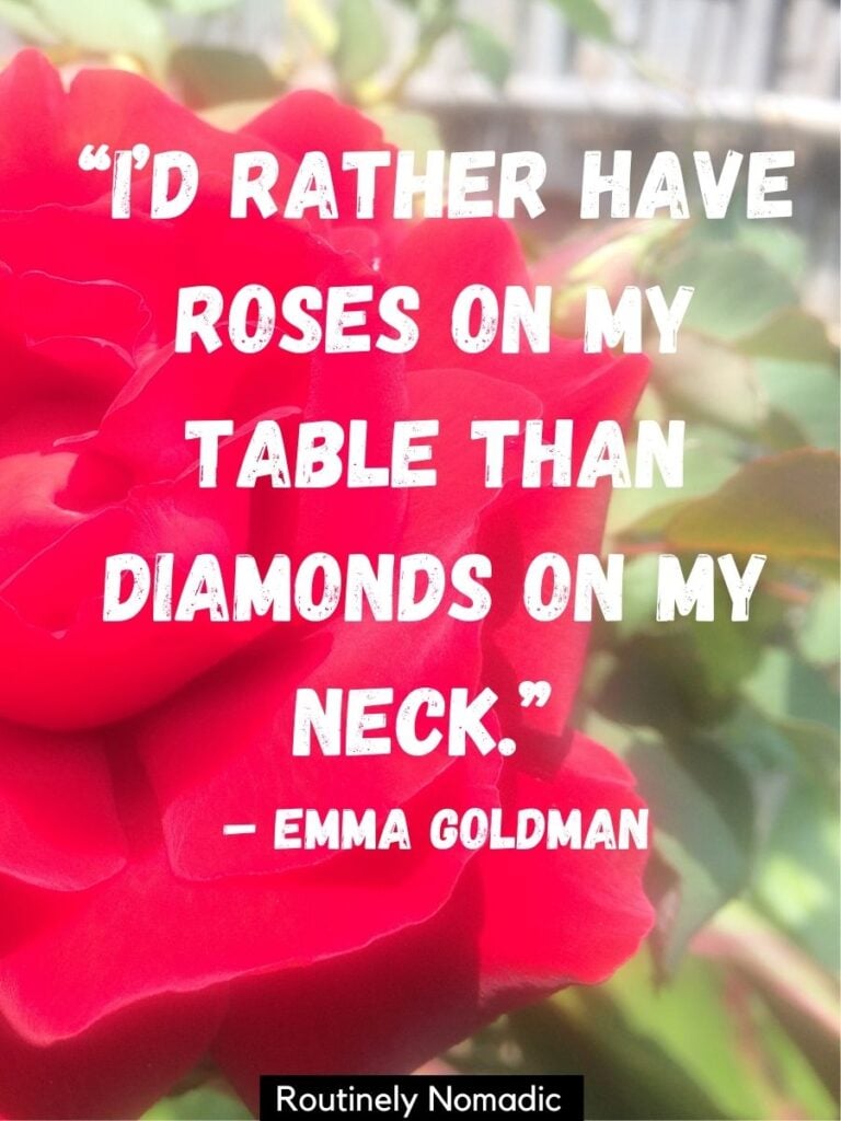 100 Aesthetic Rose Captions for that Beautiful Blooms Vibe - Routinely ...