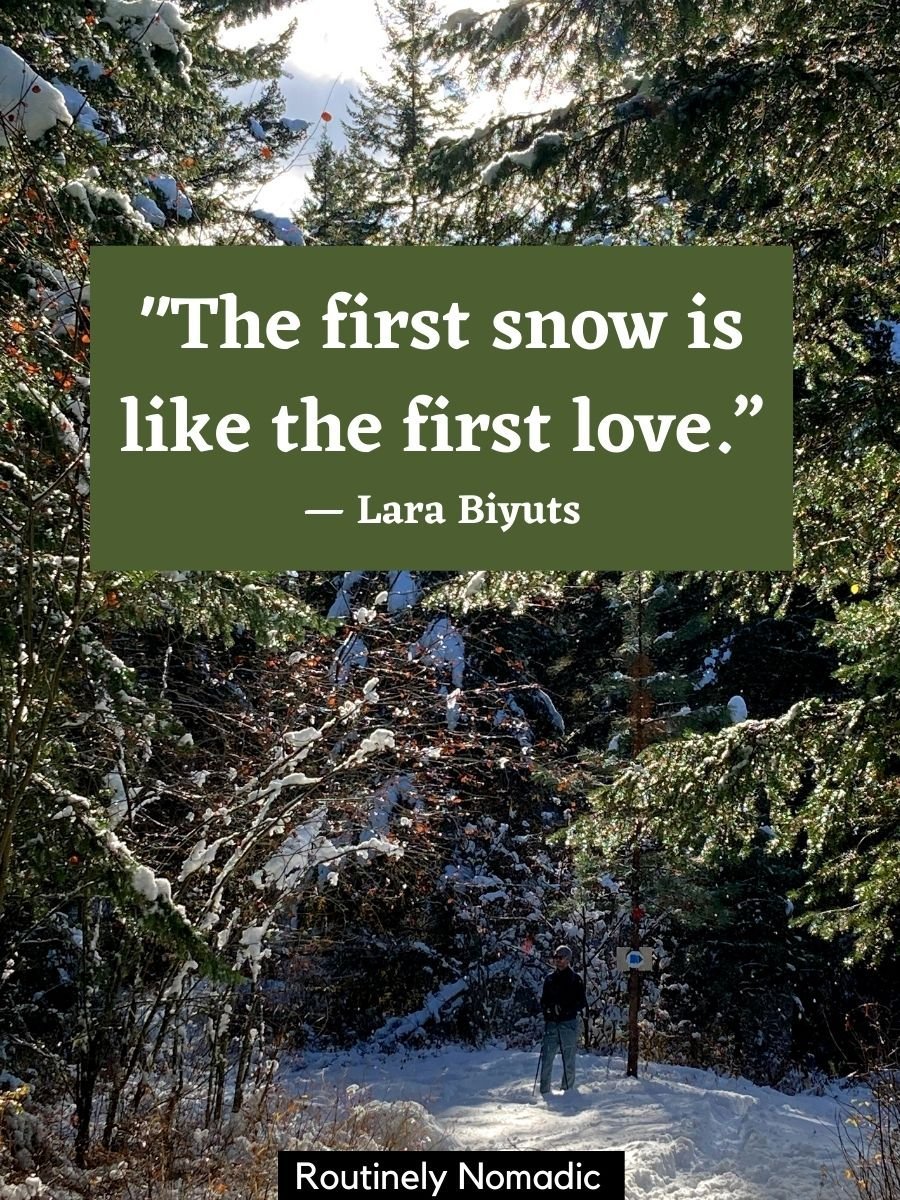 100 Short Winter Quotes for that Cold Weather Aesthetic - Routinely Shares