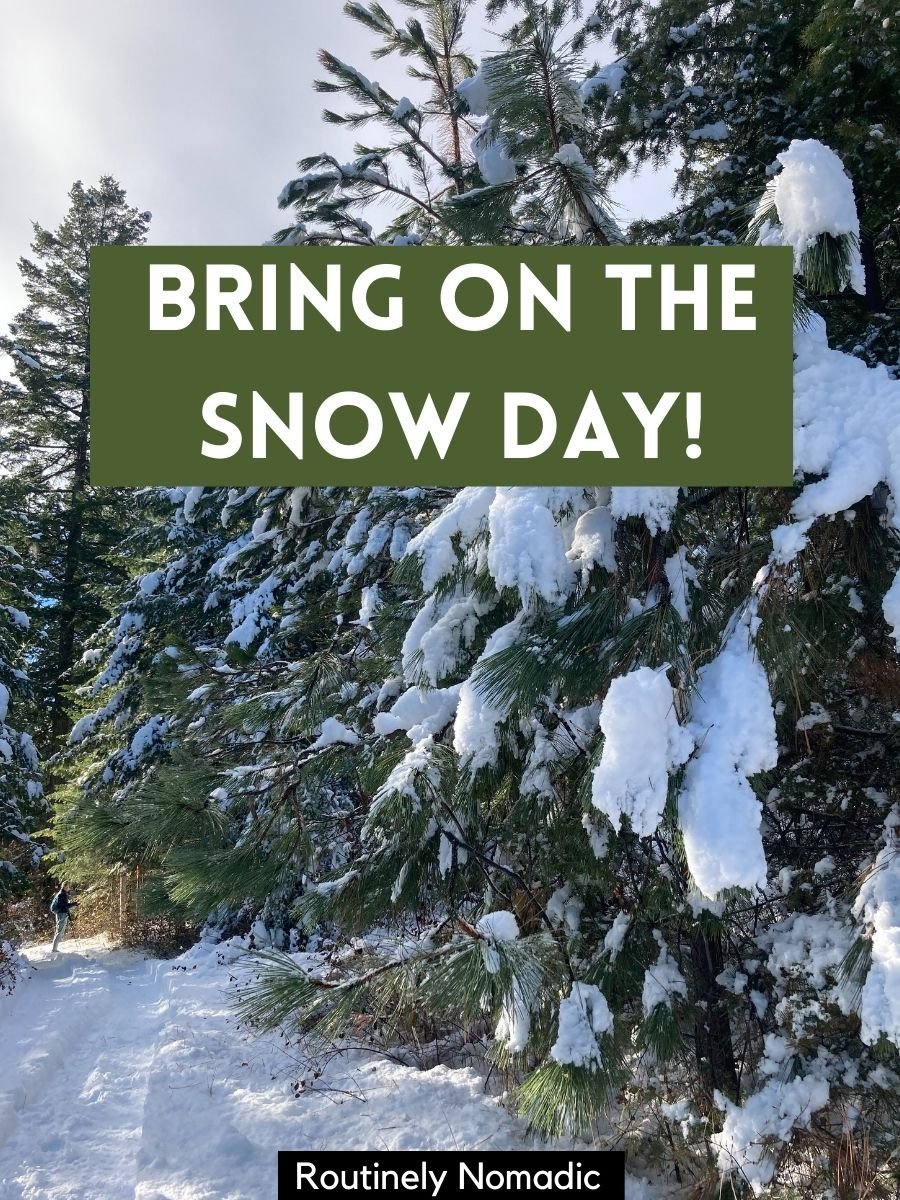 100 Happy Snow Day Quotes and Captions - Routinely Shares