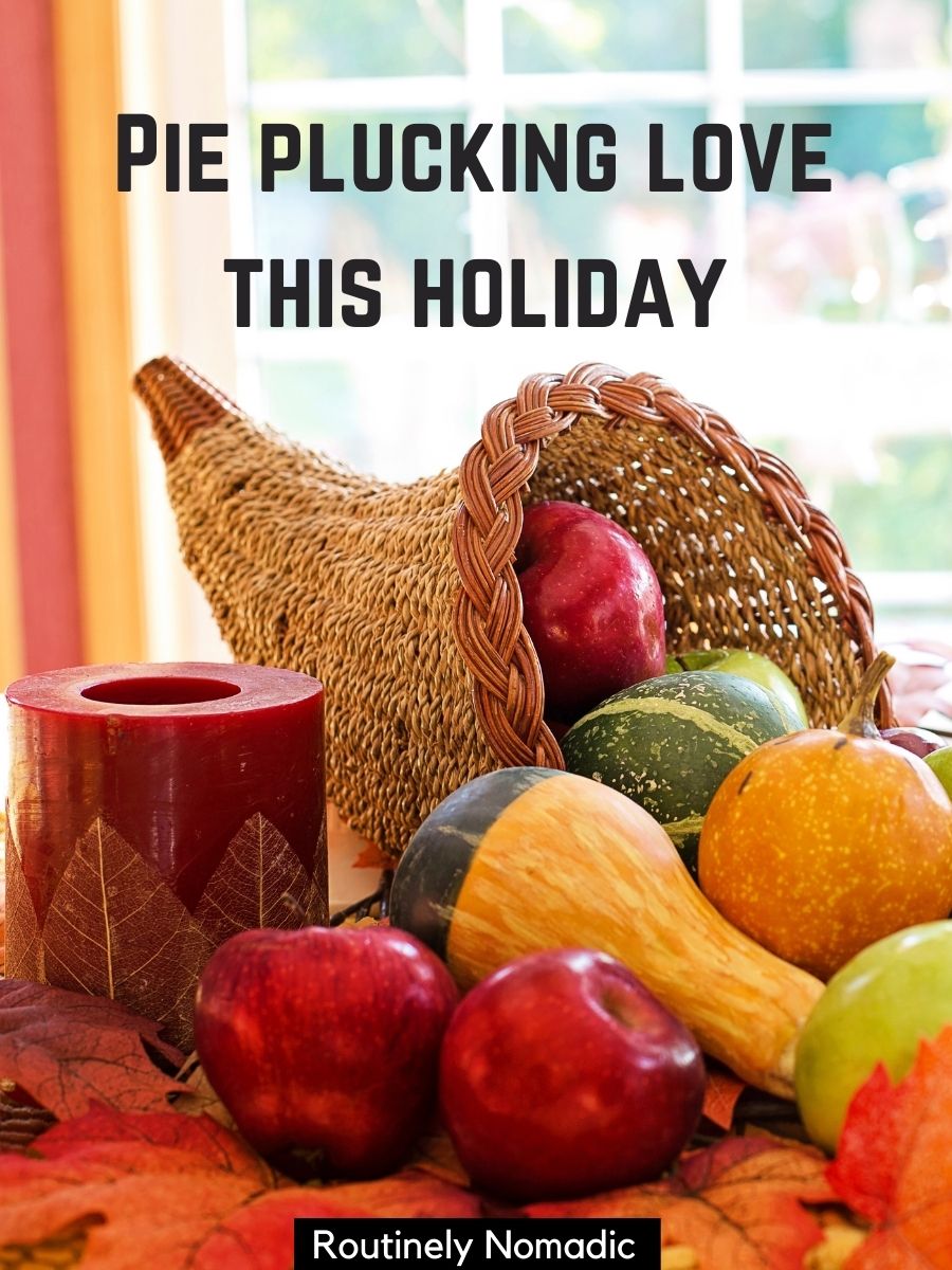 225 Funny Happy Thanksgiving Puns and Jokes - Routinely Shares