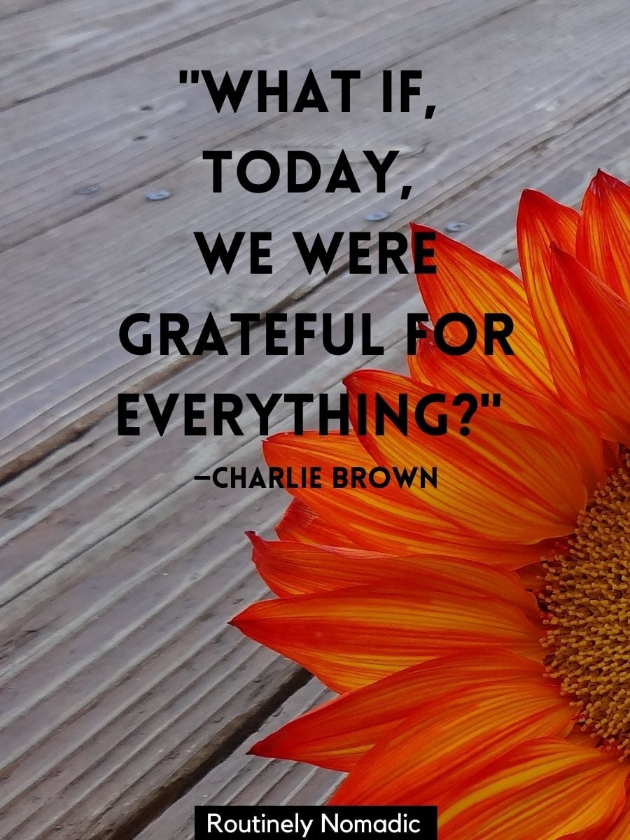 The 200 Best Thank You Messages to Show Your Gratitude and Appreciation ...