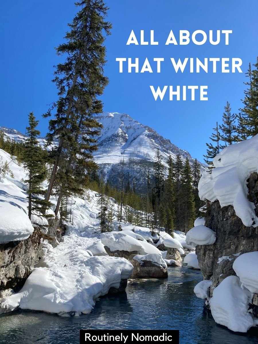 270 Funny Snow Puns, Jokes and One Liners for Winter Humor - Routinely Shares