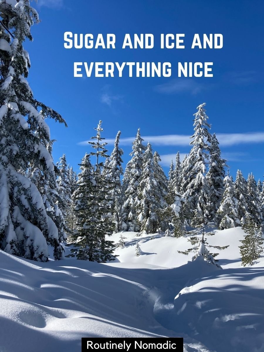 270 Funny Snow Puns, Jokes and One Liners for Winter Humor - Routinely ...