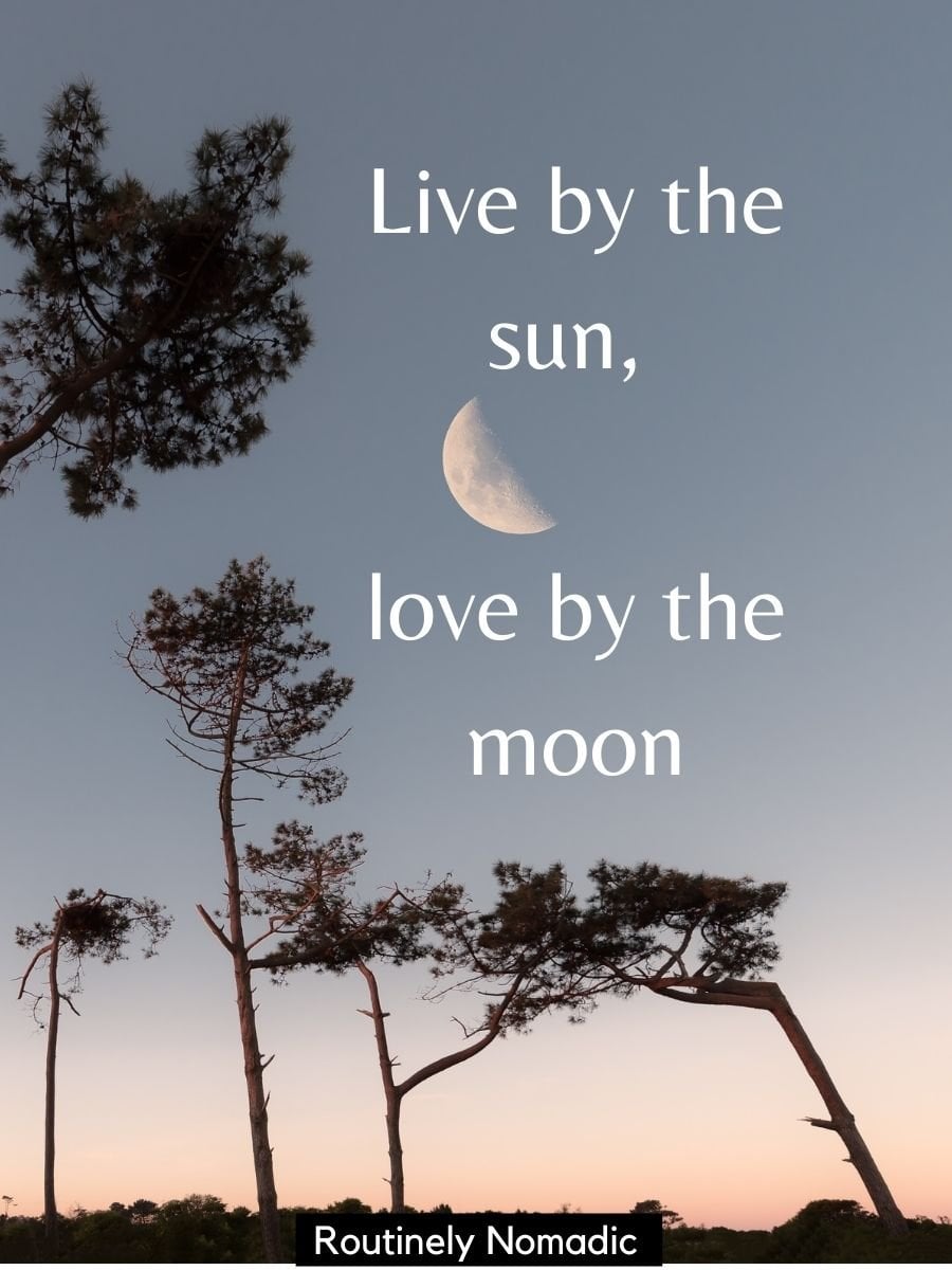 100 Short Sun and Moon Quotes to Celebrate Day to Night - Routinely Shares