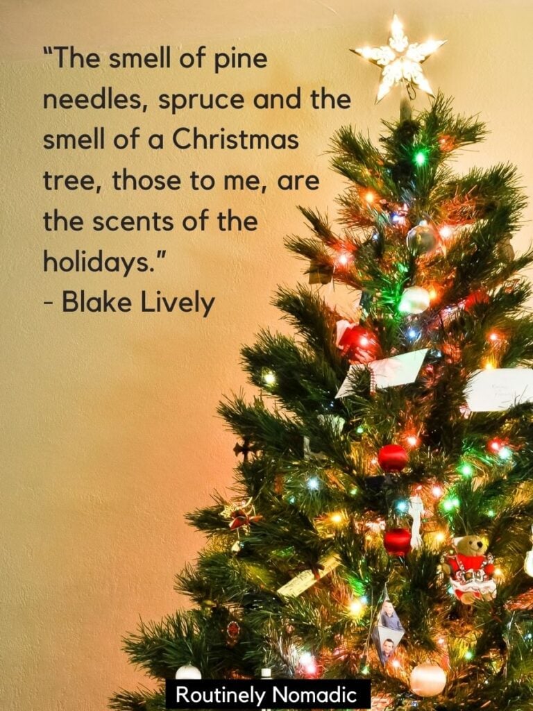 100 Christmas Tree Quotes for that Festive Aesthetic - Routinely Shares