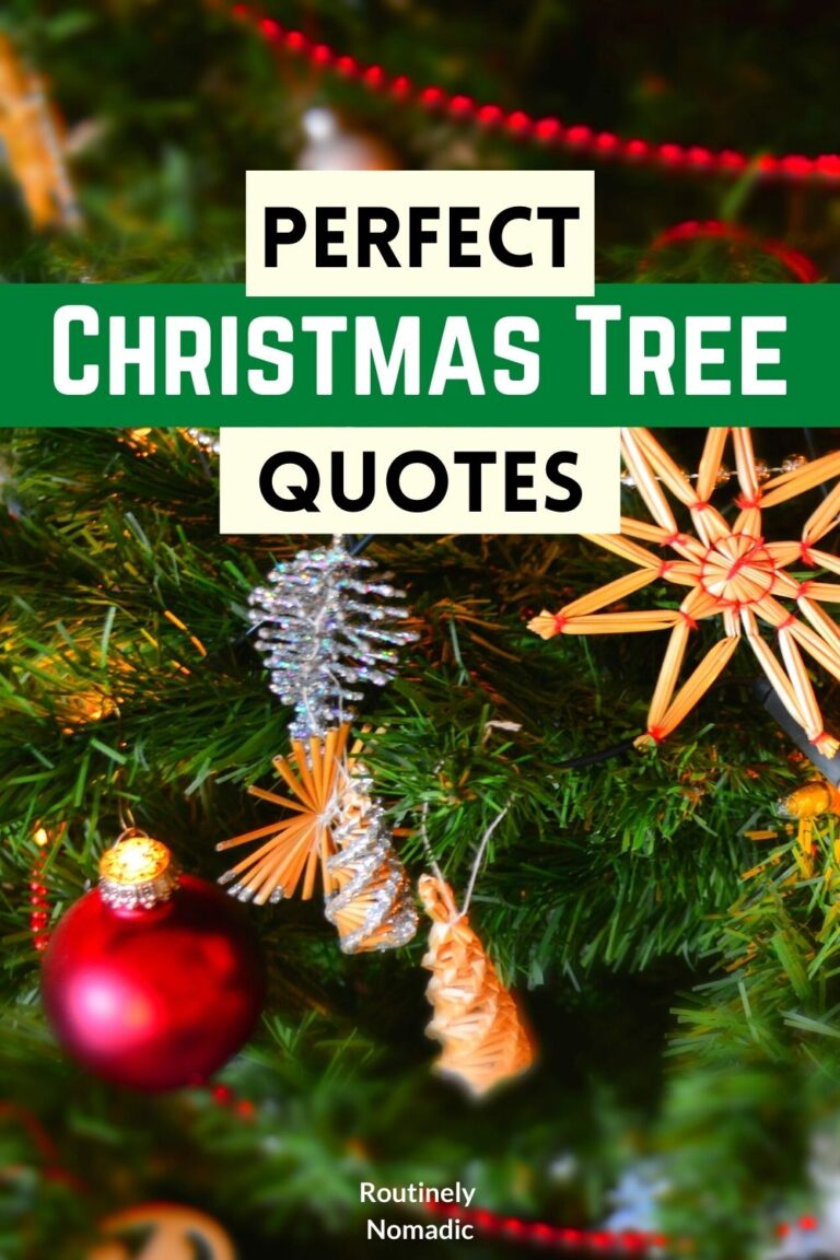 100 Christmas Tree Quotes for that Festive Aesthetic - Routinely Shares