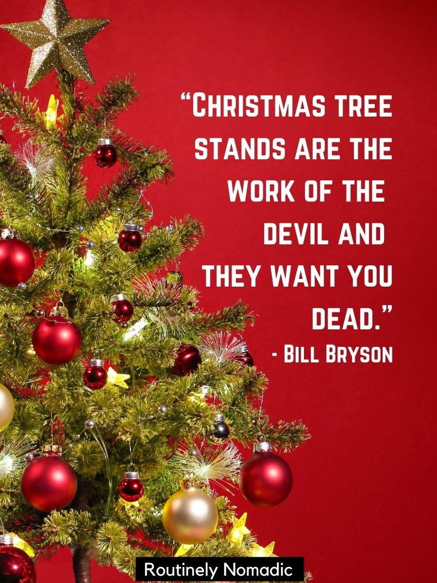 145 Funny Christmas Quotes and Sayings for Those Hilarious Festive ...