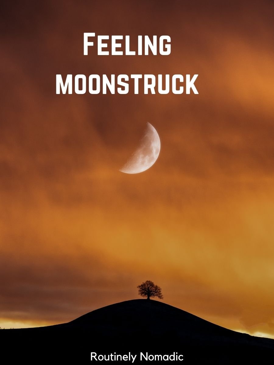 100 Funny Moon Puns and Jokes that are A-moon-sing - Routinely Shares