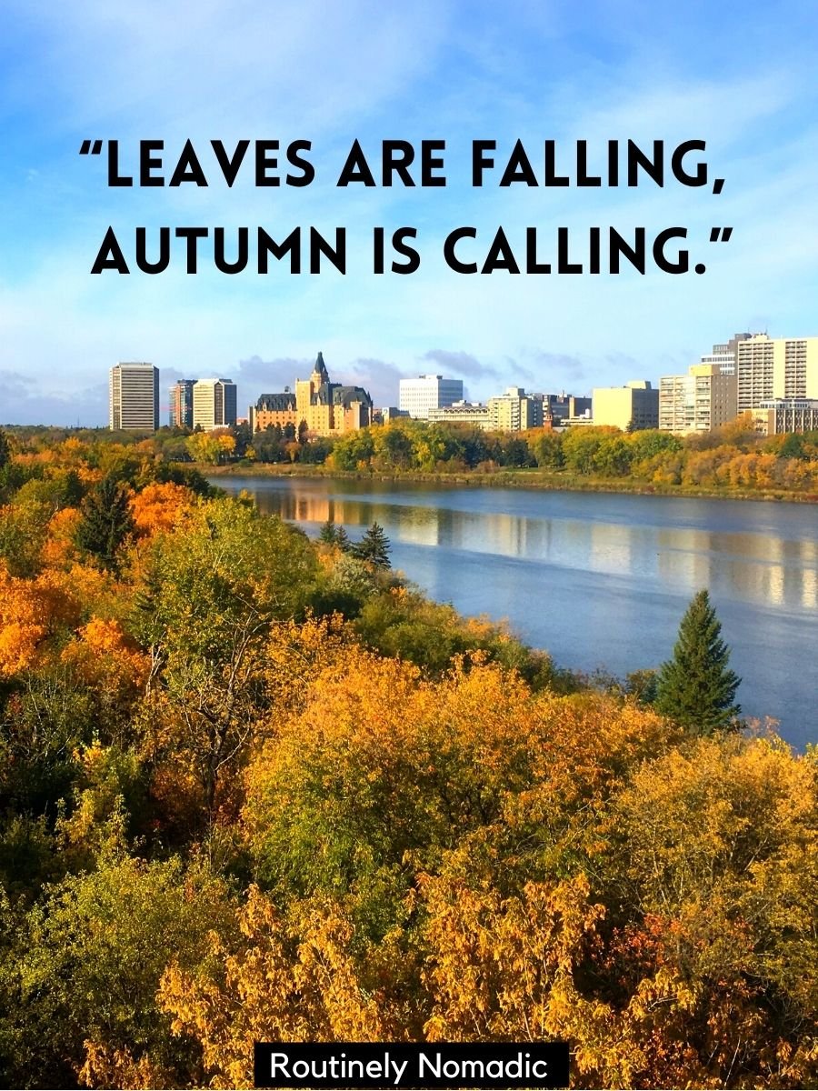 Cute Short Fall Quotes: 75 Amazing Autumn Sayings - Routinely Shares
