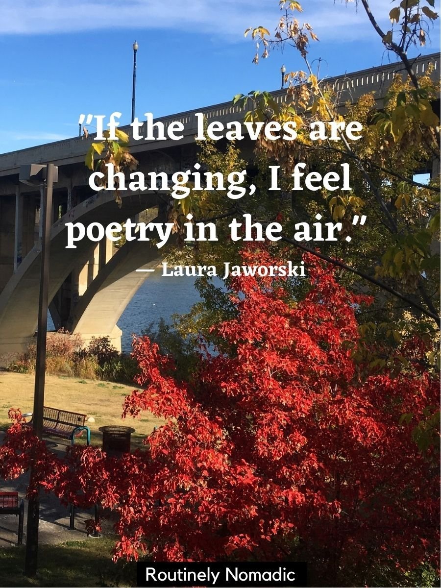 Cute Short Fall Quotes: 75 Amazing Autumn Sayings - Routinely Shares