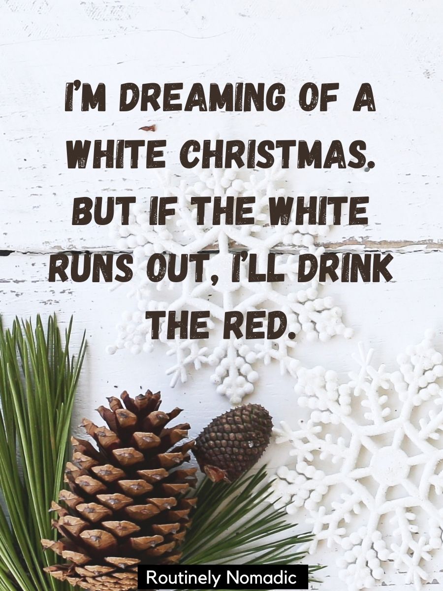 The 235 Best Short Merry Christmas Quotes for that Festive Aesthetic ...