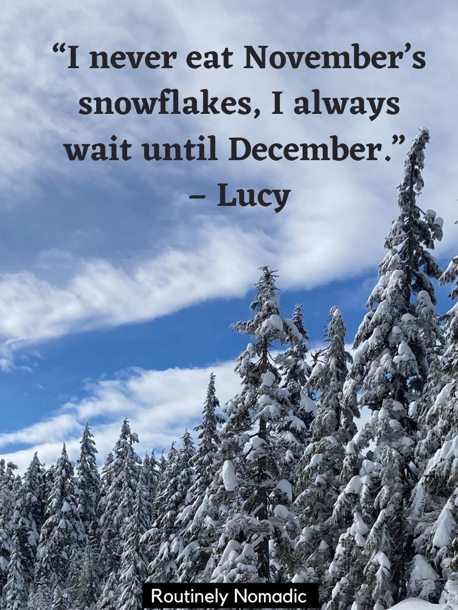 110 Short and Inspirational Snowflake Quotes for that Unique Aeshetic ...